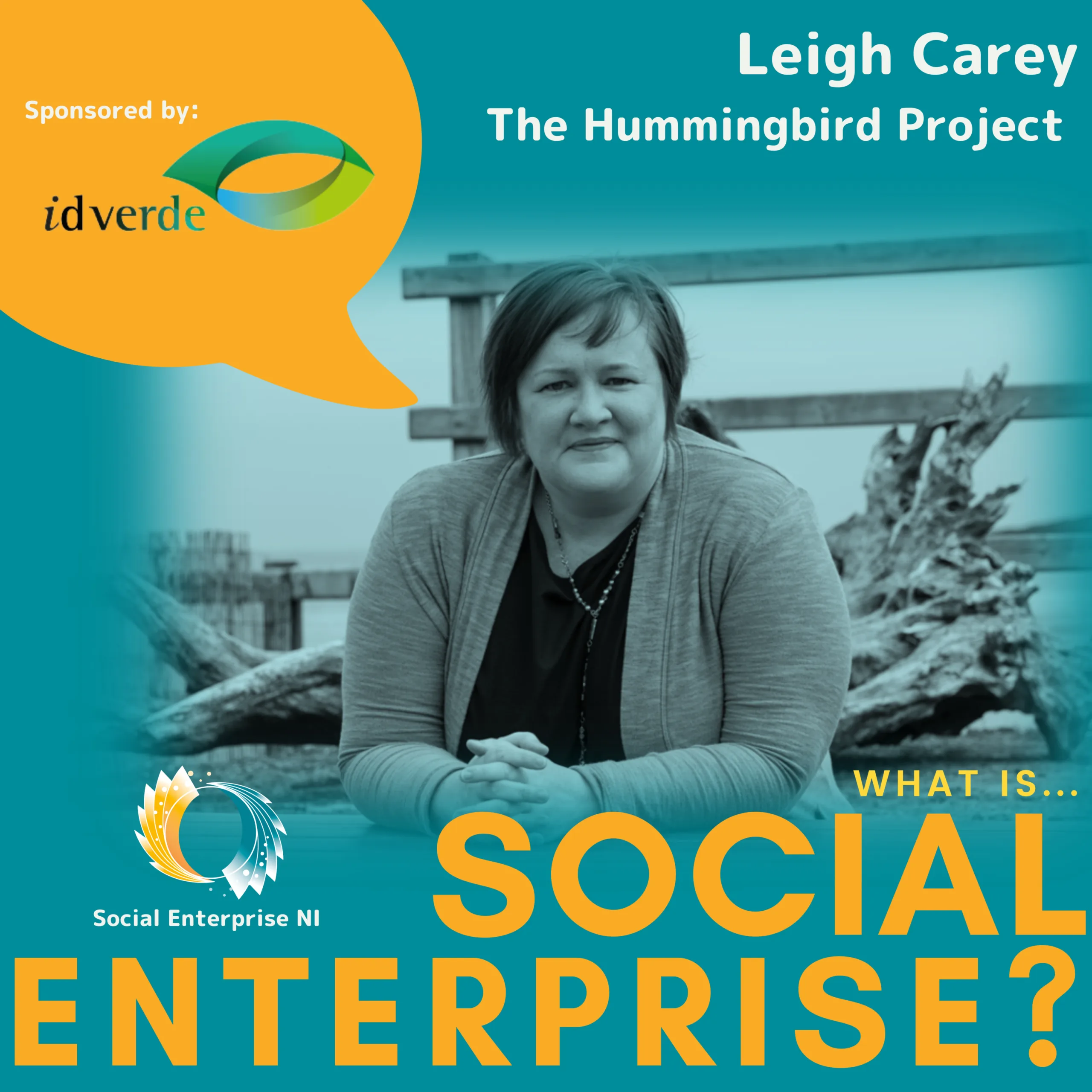 The Hummingbird Project - Leigh Carey - Social Enterprise NI